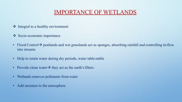 WETLANDS | PDF