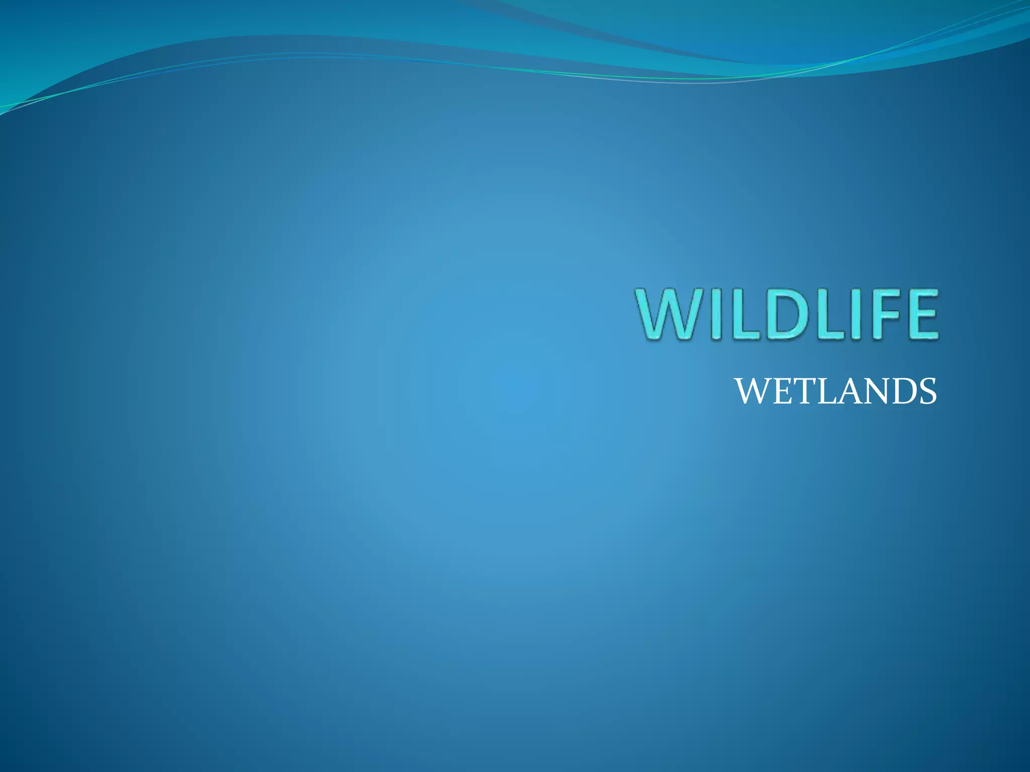 WETLANDS.pptx