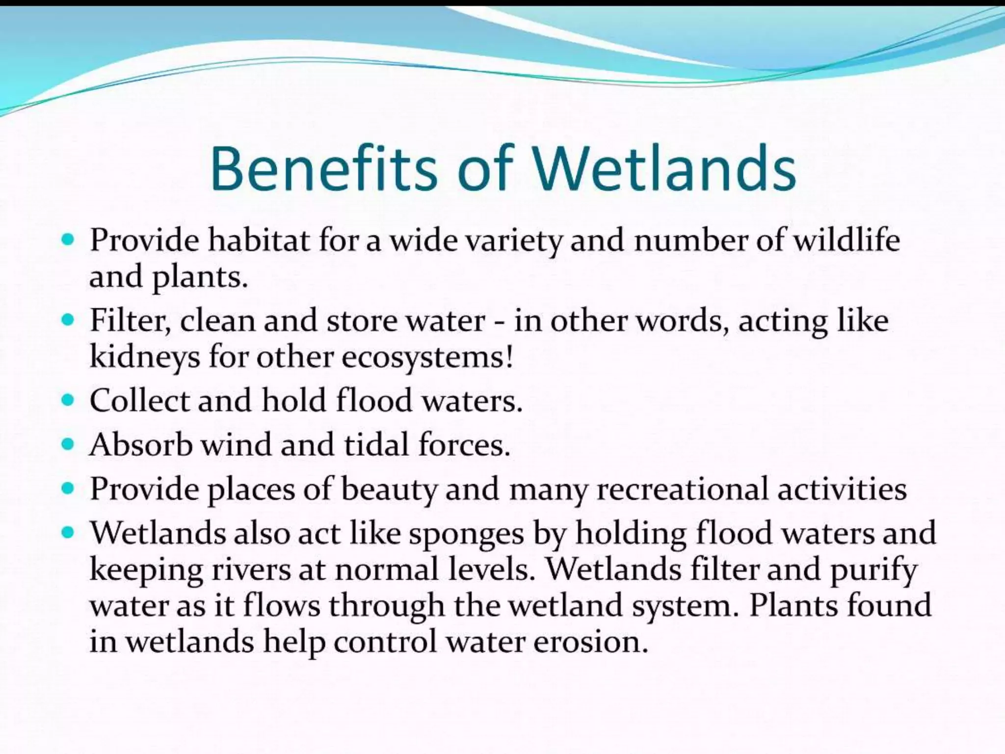 WETLANDS.pptx | Geography | Science