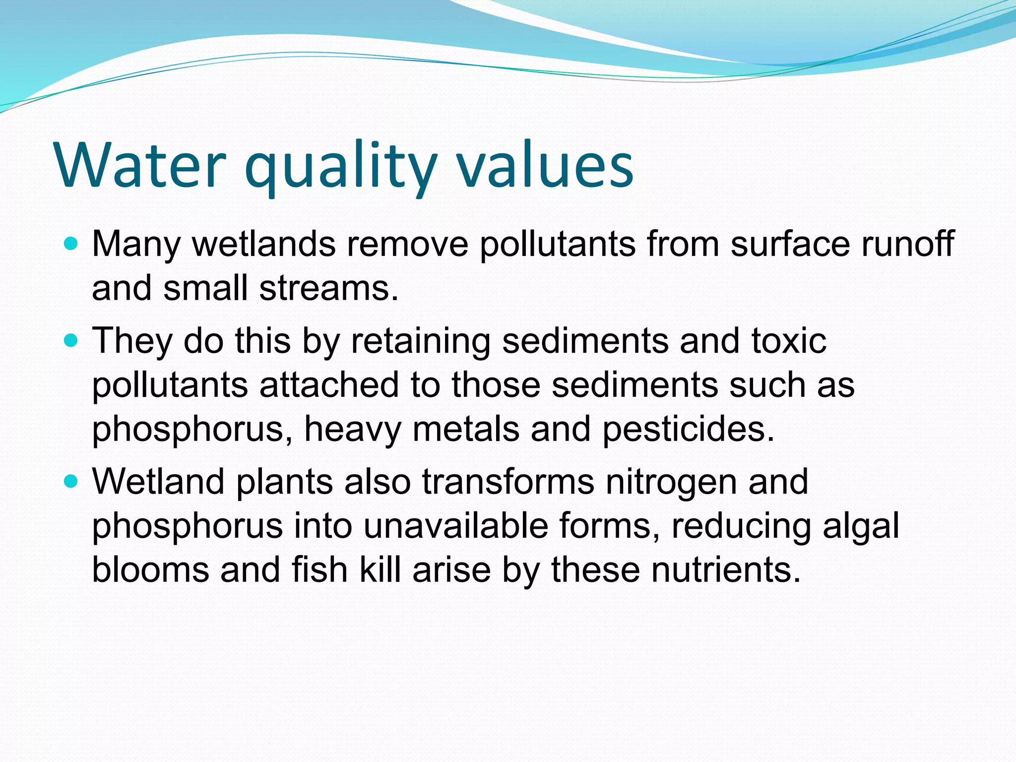 WETLANDS.pptx | Geography | Science