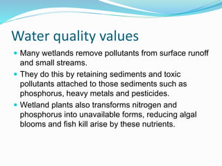 WETLANDS.pptx | Geography | Science