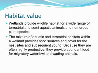 WETLANDS.pptx | Geography | Science