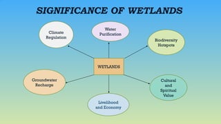 WETLANDS-Kidneys of the Earth By- ANIMESH SHUKLA, University of ...