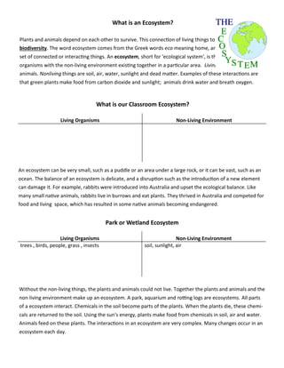Wetlands activities | PDF