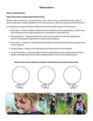 Wetlands activities | PDF