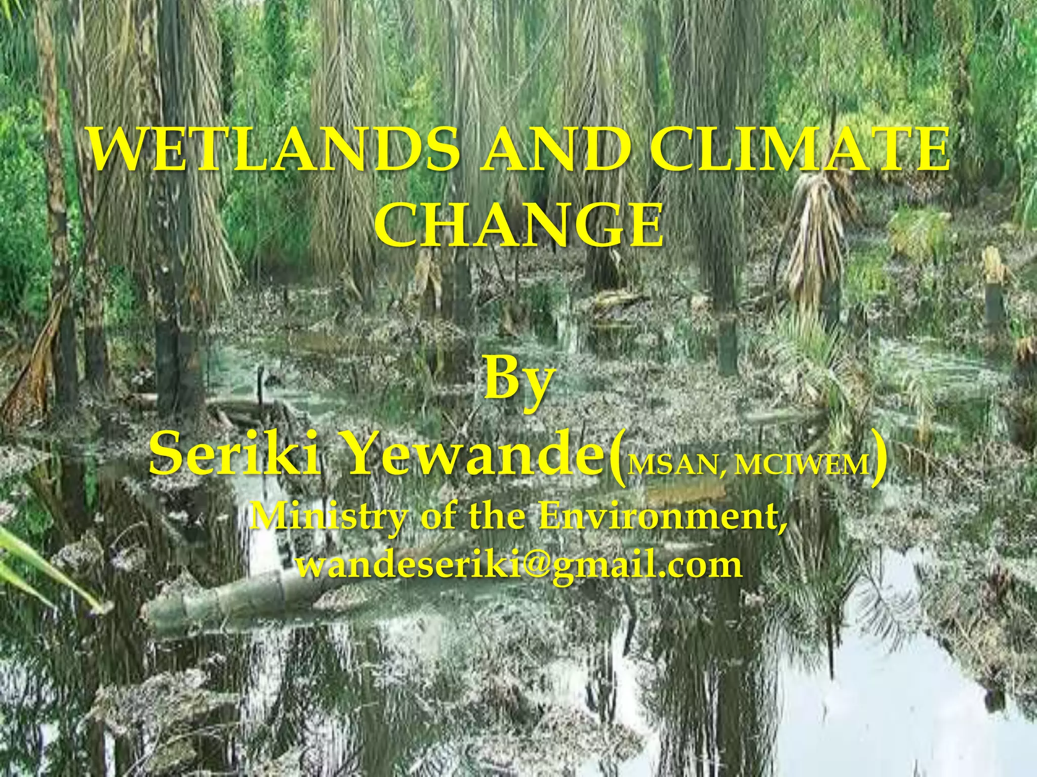 Wetlands & Climate change | PPTX