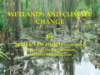 Wetlands & Climate change | PPTX
