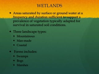 Wetlands & Climate change | PPTX