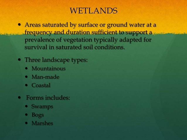 Wetlands & Climate change | PPTX | Geography | Science