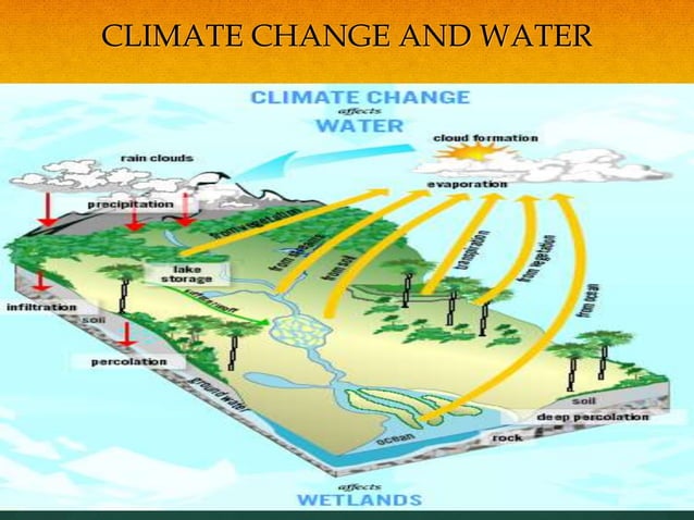 Wetlands & Climate change | PPTX | Geography | Science