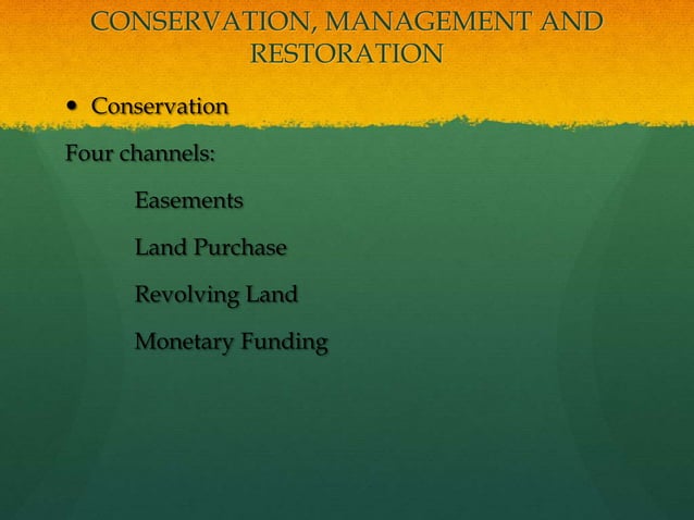 Wetlands & Climate change | PPTX | Geography | Science