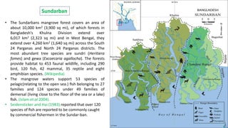 Wetlands & fish status in bangladesh | PPTX