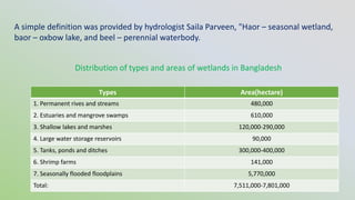 Wetlands & fish status in bangladesh | PPTX