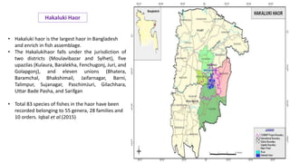 Wetlands & fish status in bangladesh | PPTX