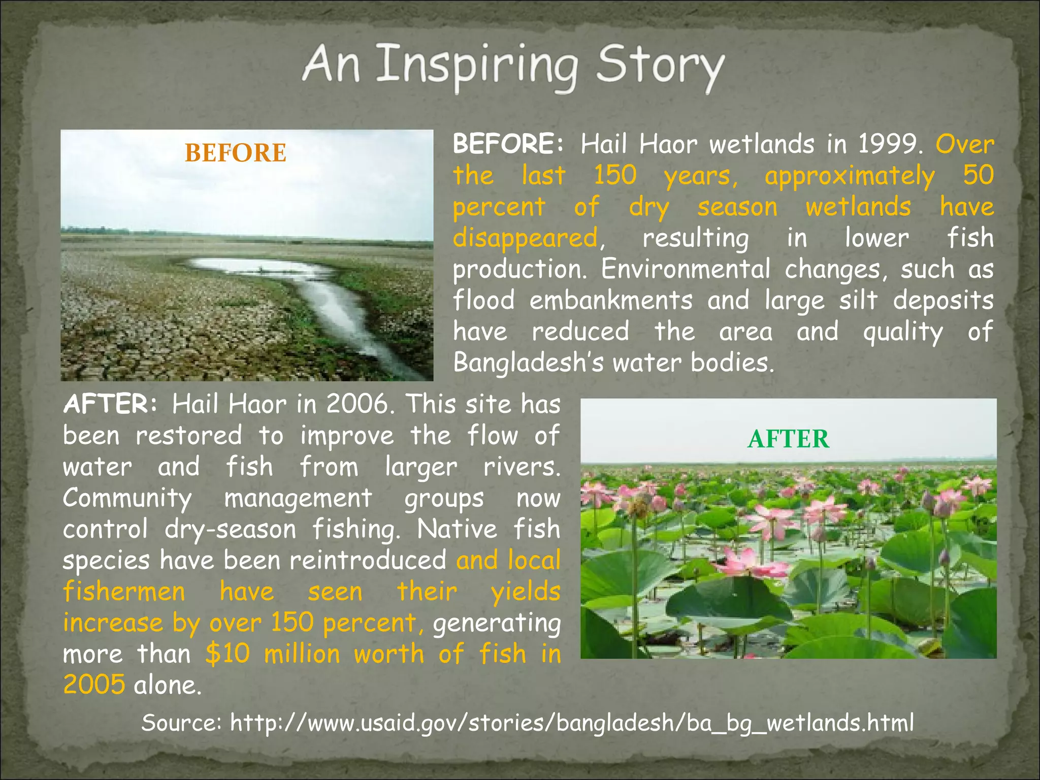 Wetlands of bangladesh | PPT