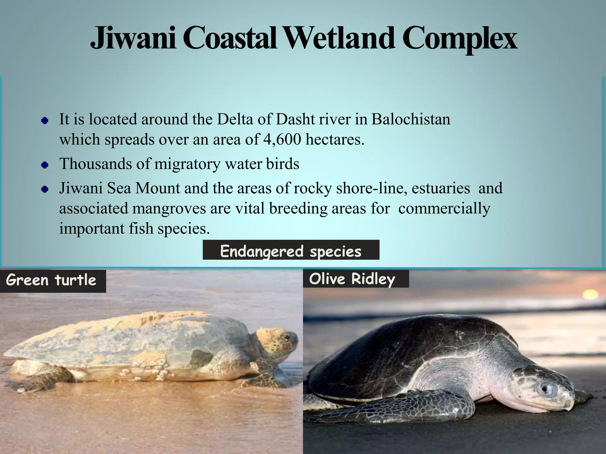 Ramsar Wetlands of pakistan | PPTX