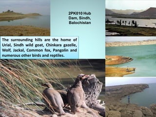 Ramsar Wetlands of pakistan | PPTX