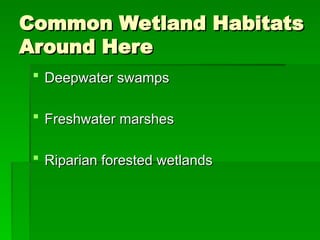 Wetlands Presentation Introduction slide | PPT | Zoos & Aquariums ...