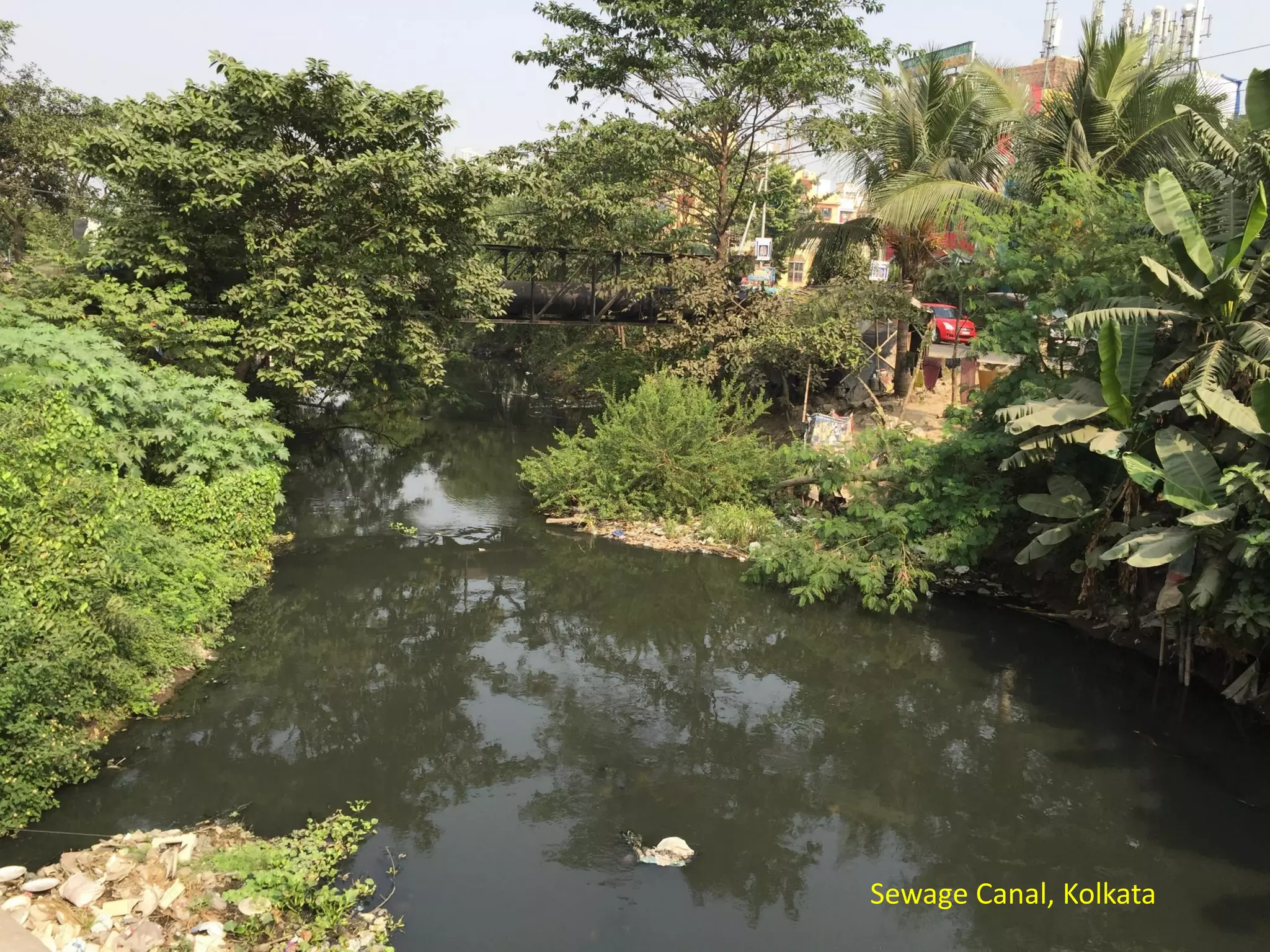 Wetland Resource Management: Wise Use and Conservation | PDF