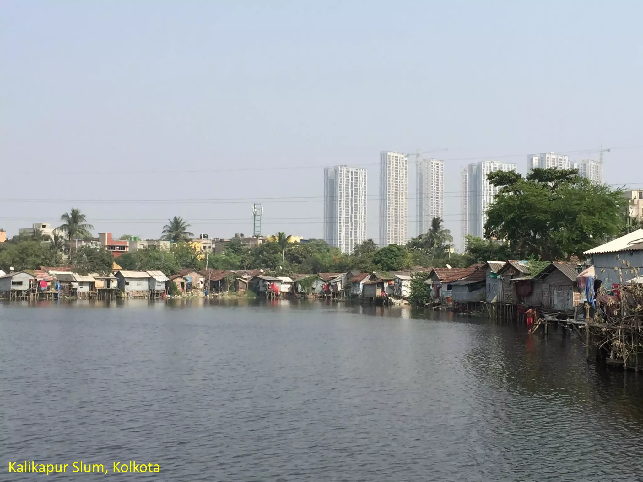 Wetland Resource Management: Wise Use and Conservation | PDF