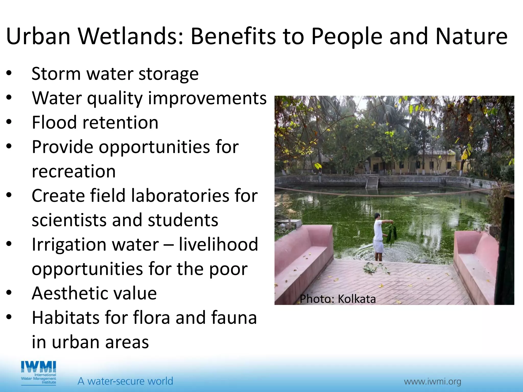 Wetland Resource Management: Wise Use and Conservation | PDF