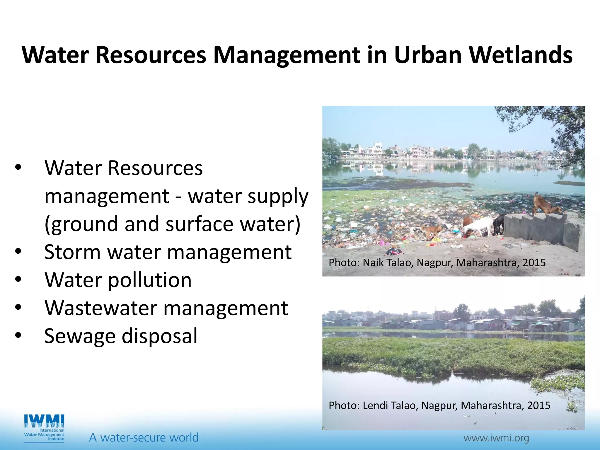 Wetland Resource Management: Wise Use and Conservation | PDF