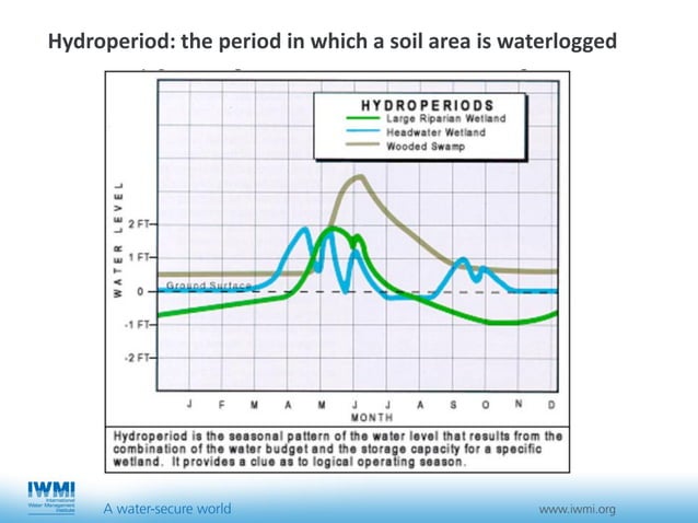 Wetland Resource Management: Wise Use and Conservation | PDF