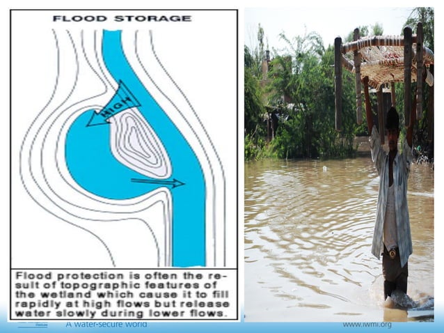 Wetland Resource Management: Wise Use and Conservation | PDF