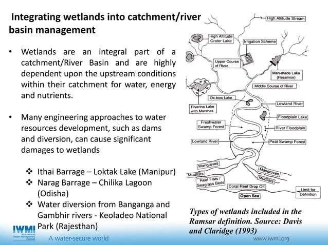 Wetland Resource Management: Wise Use and Conservation | PDF