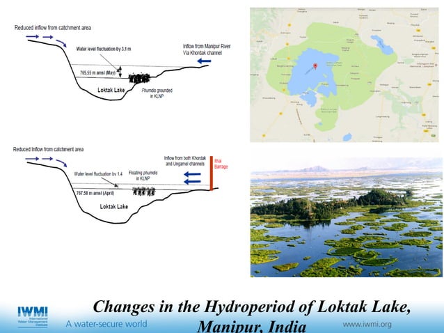 Wetland Resource Management: Wise Use and Conservation | PDF
