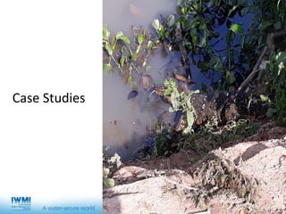 Wetland Resource Management: Wise Use and Conservation | PDF