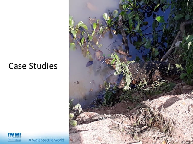 Wetland Resource Management: Wise Use and Conservation | PDF