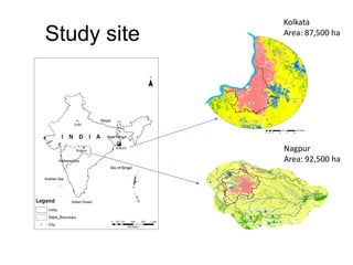 Wetland Resource Management: Wise Use and Conservation | PDF