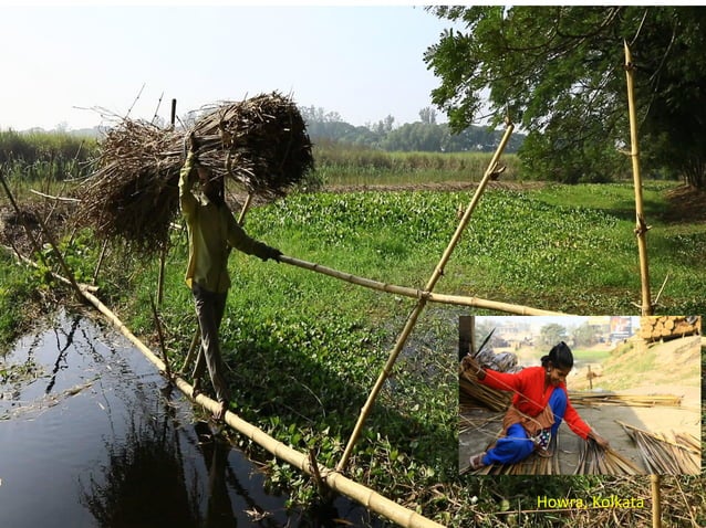 Wetland Resource Management: Wise Use and Conservation | PDF