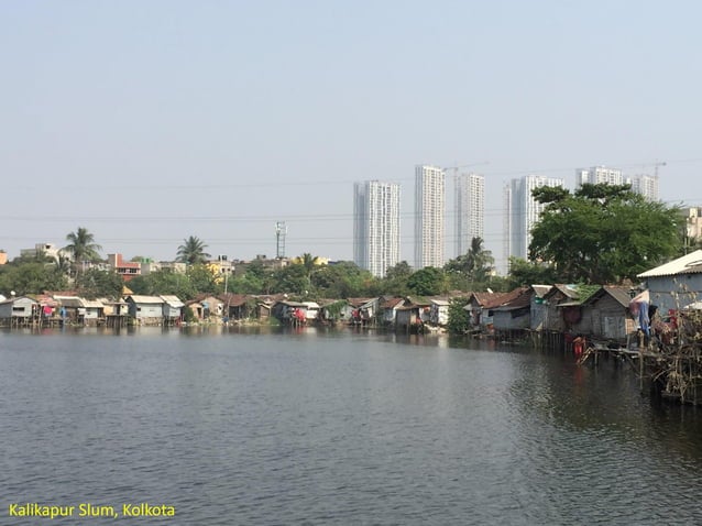 Wetland Resource Management: Wise Use and Conservation | PDF