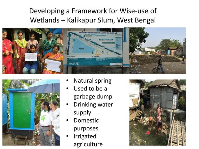 Wetland Resource Management: Wise Use and Conservation | PDF