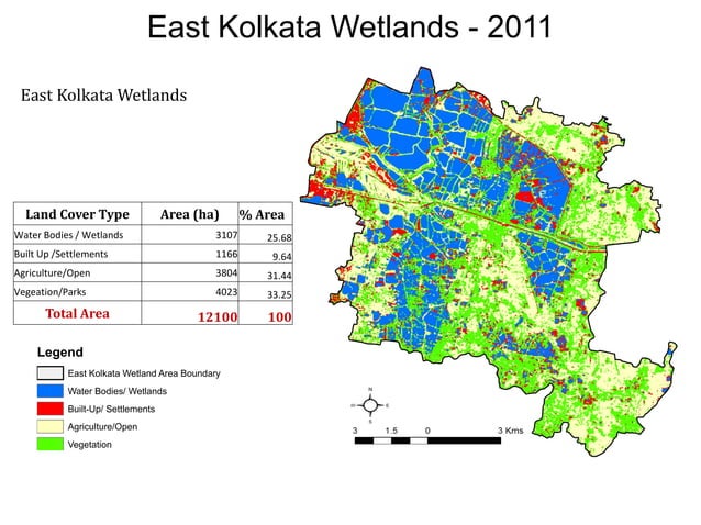 Wetland Resource Management: Wise Use and Conservation | PDF