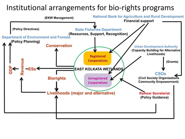 Wetland Resource Management: Wise Use and Conservation | PDF