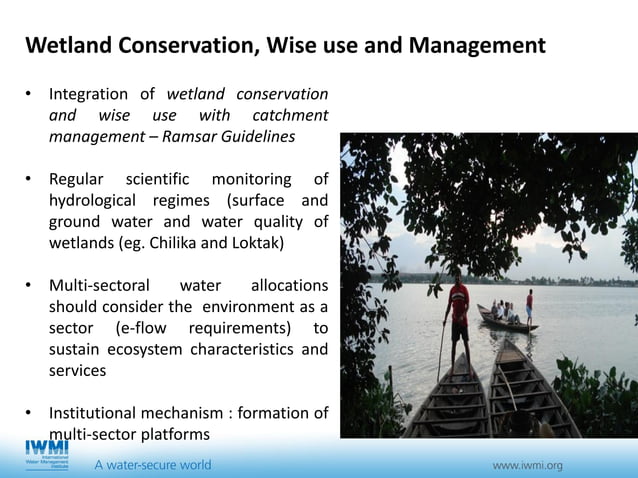 Wetland Resource Management: Wise Use and Conservation | PDF