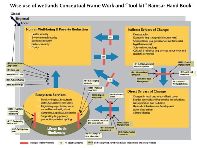 Wetland Resource Management: Wise Use and Conservation | PDF
