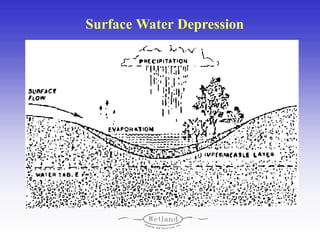 wetland_water_budget equation solved.pptx