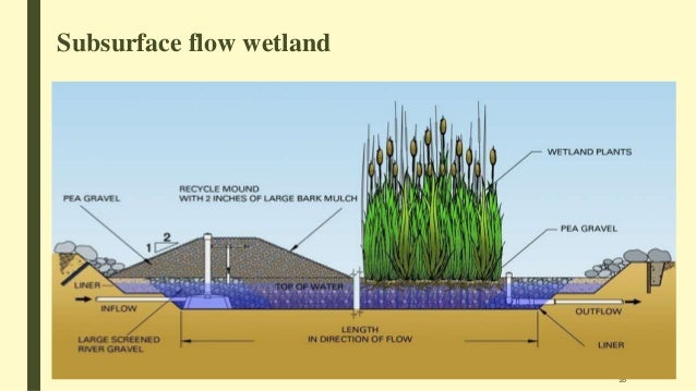 Constructed Wetlands