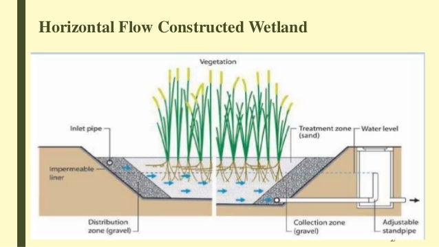 Constructed Wetlands