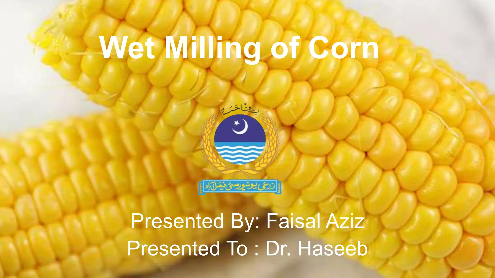 Wet milling of corn | PPTX