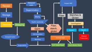 Wet milling of corn | PPTX