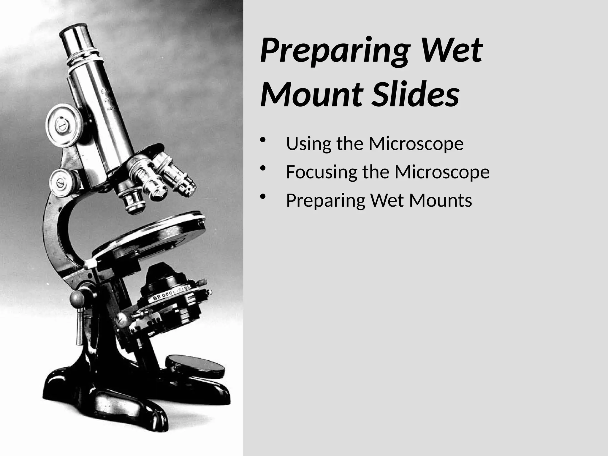 What Is A Wet Mount Microscope