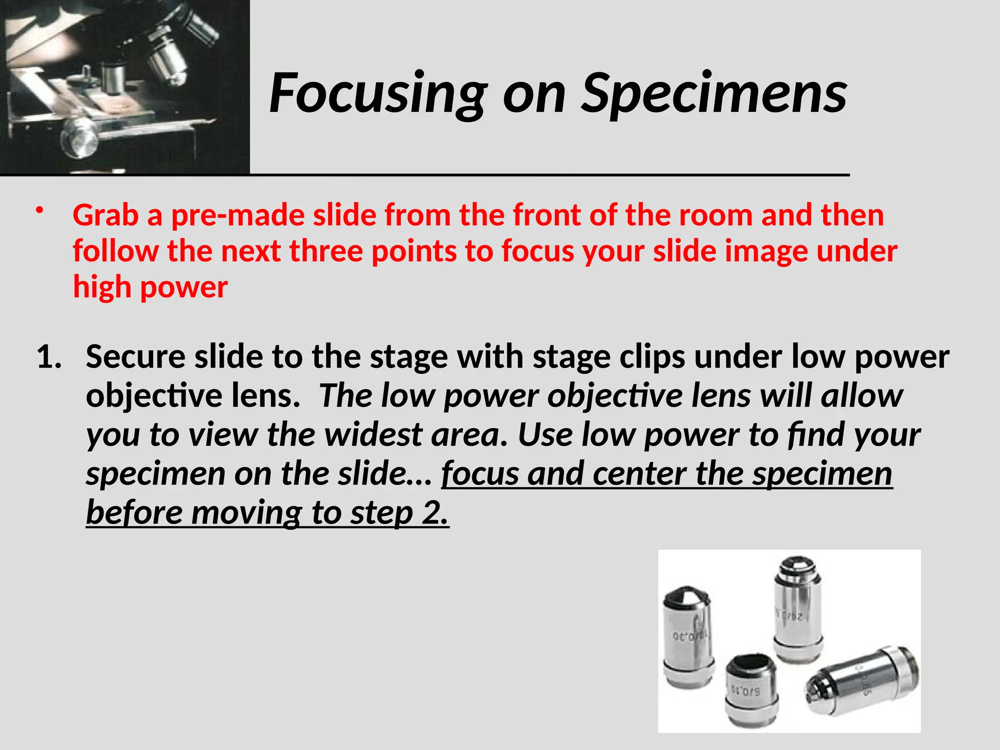 Wet Mount Presentation PowerPoint Presentation | PPT