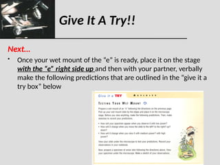 Wet Mount Presentation PowerPoint Presentation | PPTX