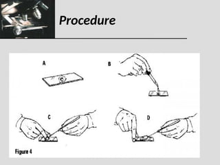 Wet Mount Presentation PowerPoint Presentation | PPT