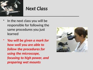 Wet Mount Presentation PowerPoint Presentation | PPT